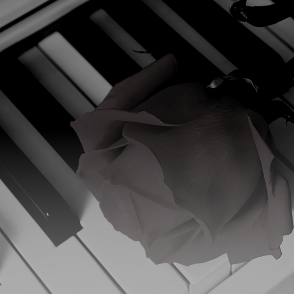 Products - Simon Morrison